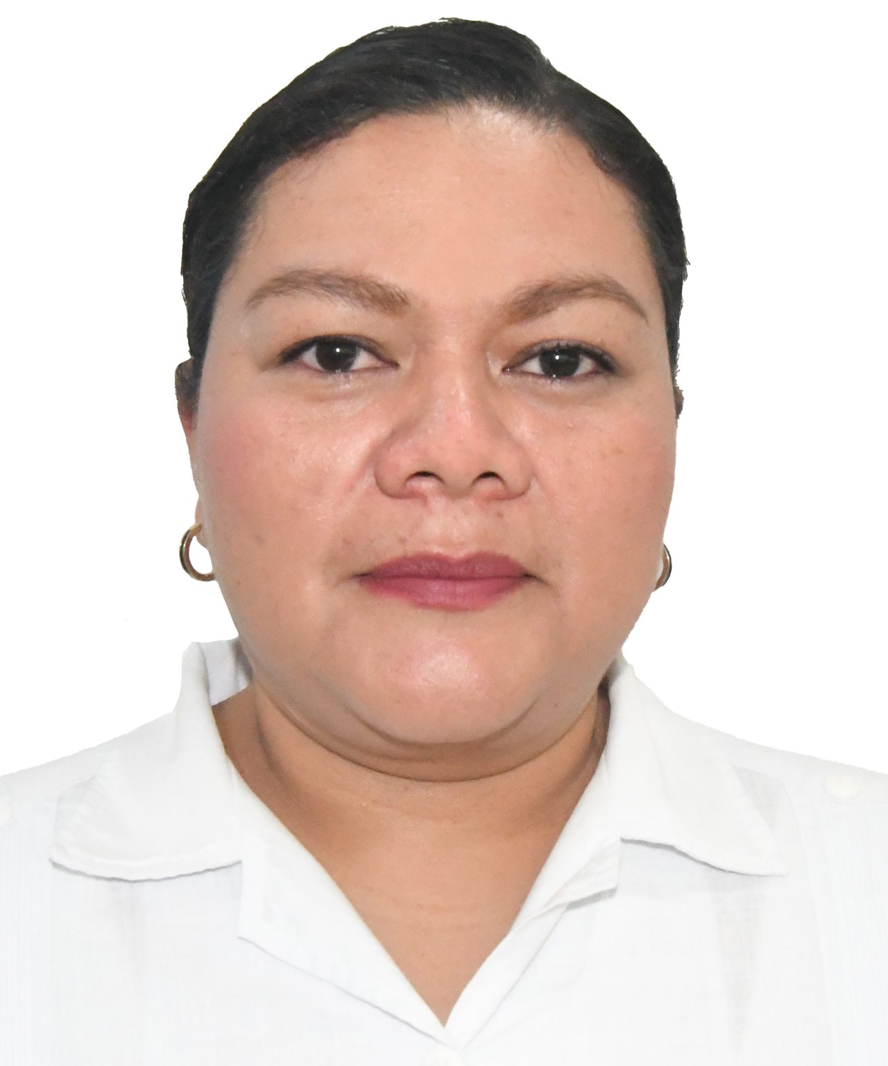 Directorio – H. Ayuntamiento de Palenque